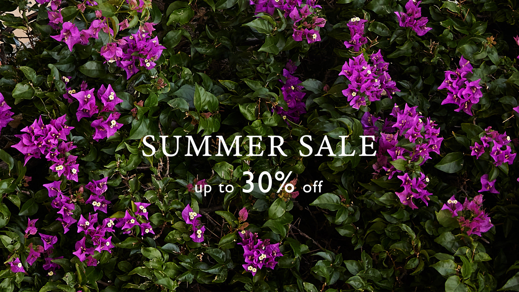 Really Wild | Luxury Tailored Clothing | Women's Clothing – Really Wild ...